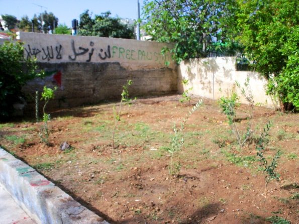 Sheikh Jarrah garden reclaimed in Land Day celebration - Home